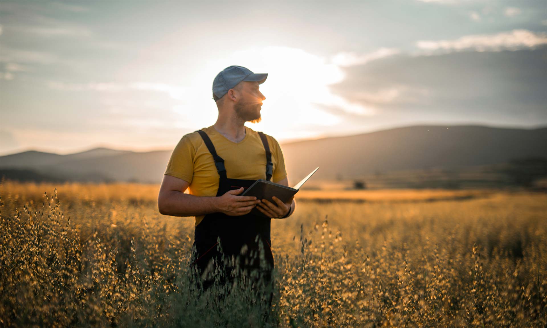 Products – Bin-Sense Grain Storage Monitoring